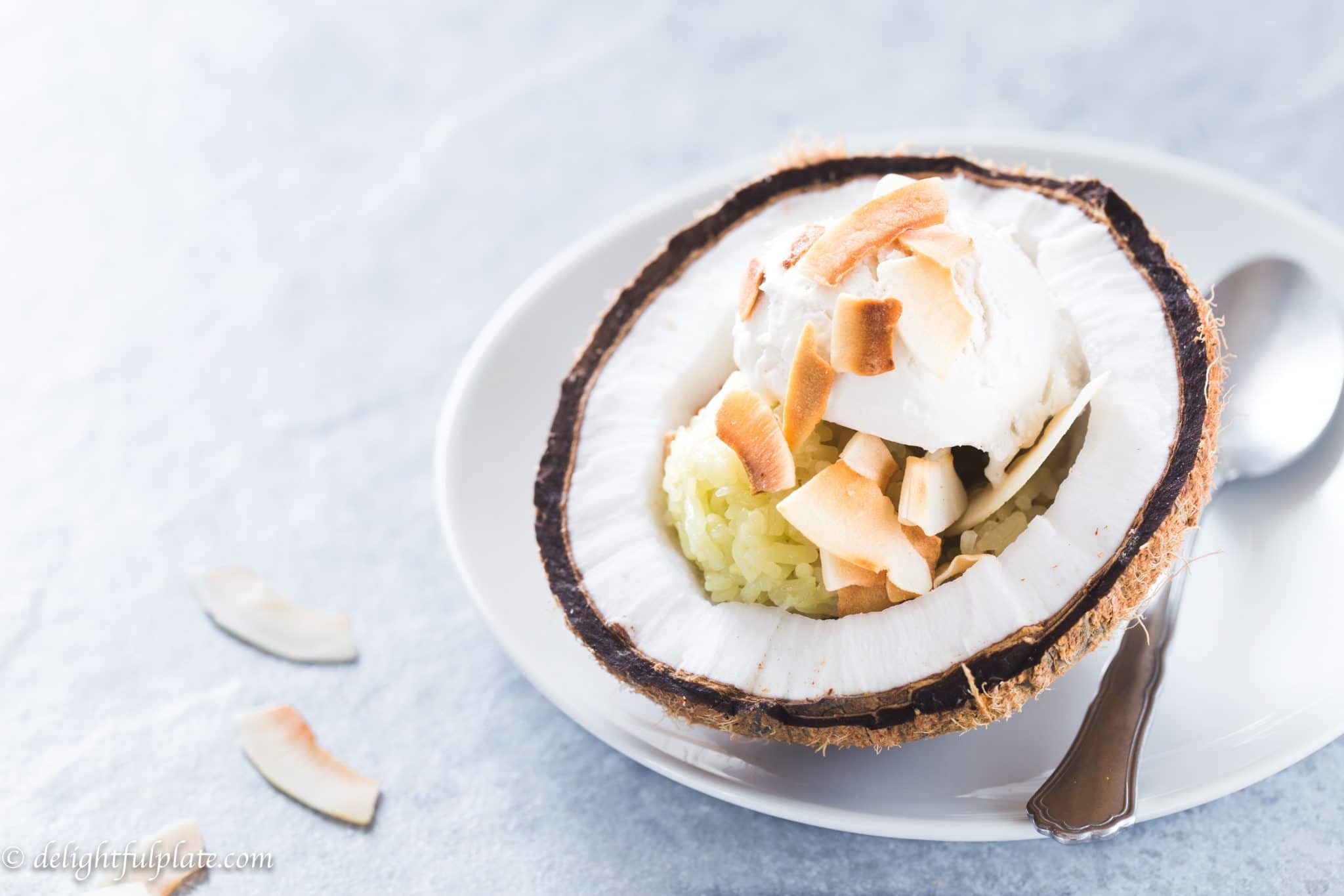 Ice Cream with Sticky Rice (Kem xoi) - Delightful Plate