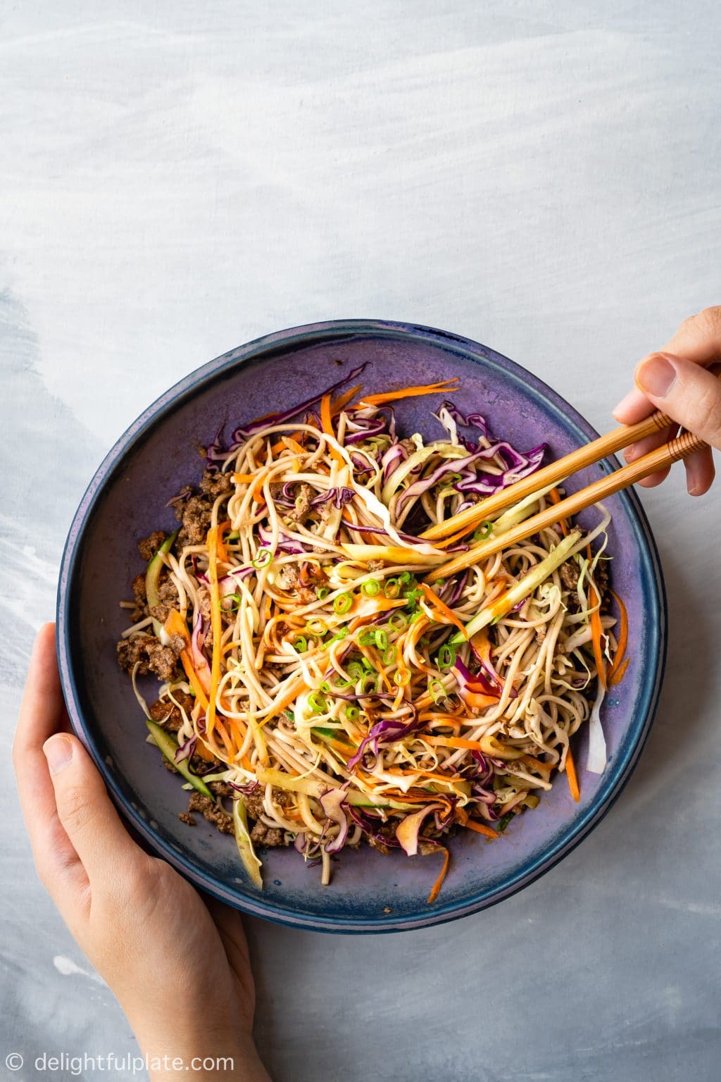 Spicy Beef Soba Noodle Salad - Delightful Plate