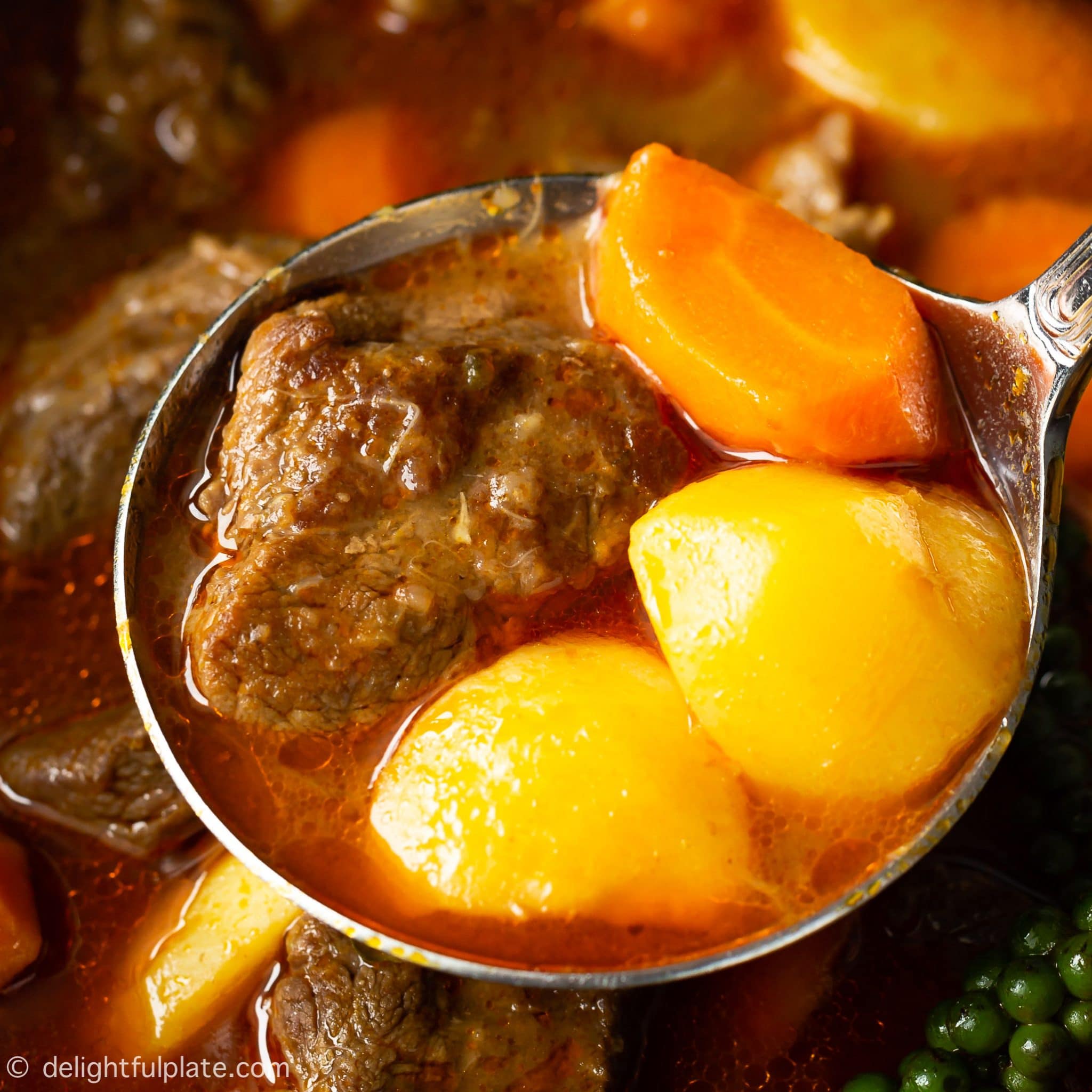 Vietnamese Beef Stew with Green Peppercorns (Bo Ham Tieu Xanh ...