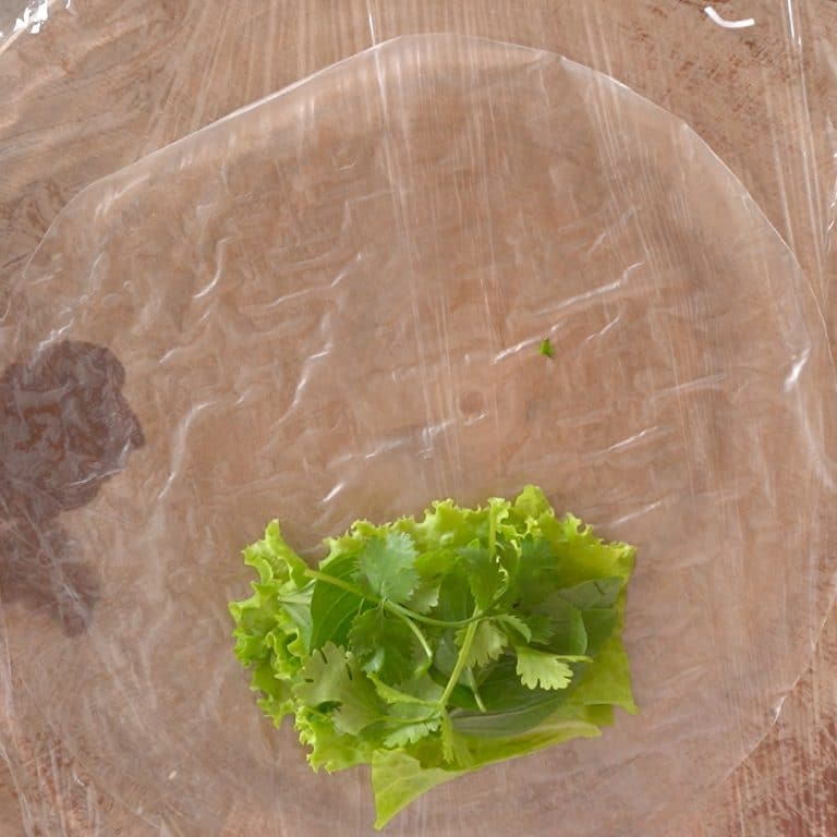 Vietnamese Fresh Spring Rolls (Goi Cuon) - Delightful Plate