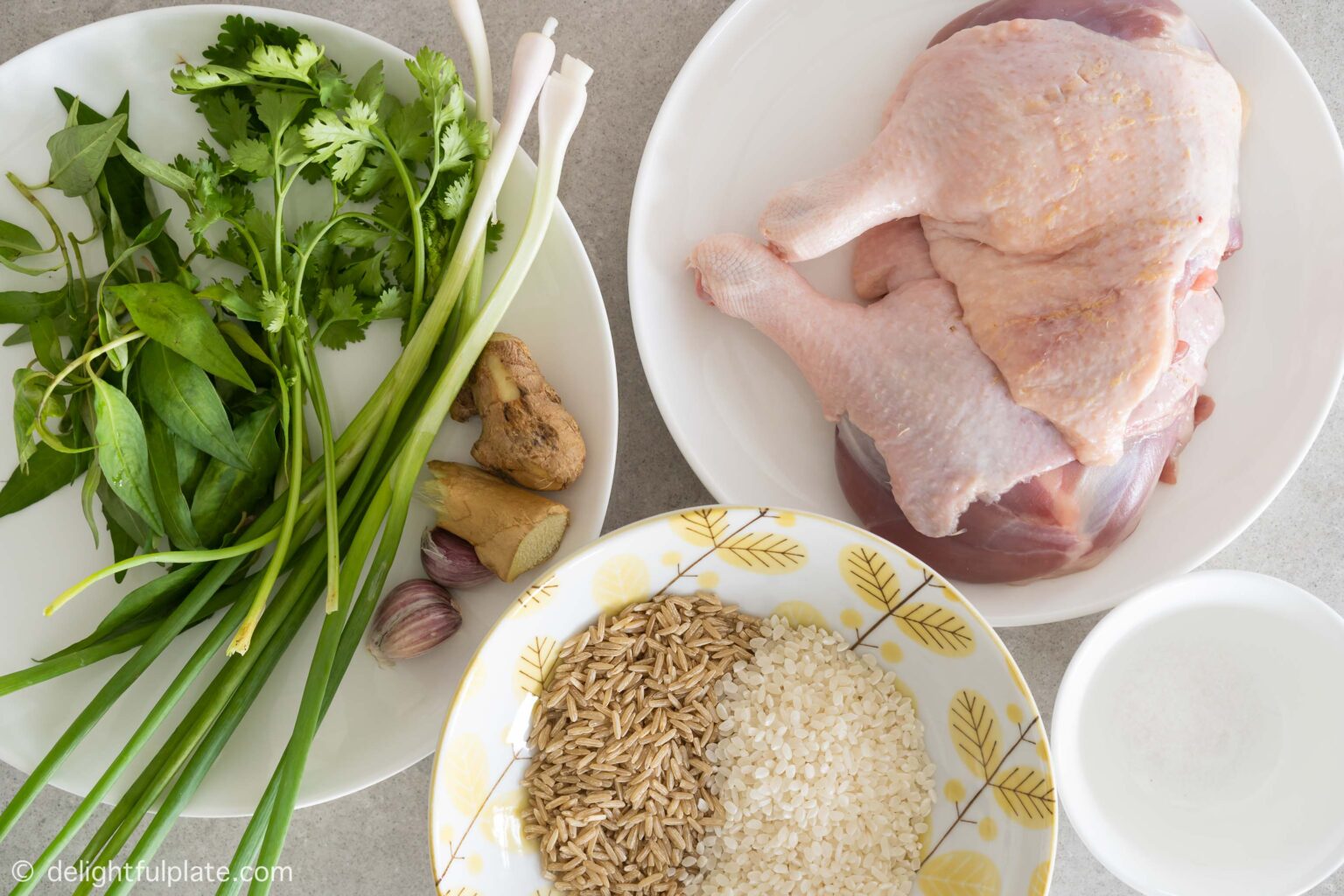 Duck Congee (Chao Vit) - Delightful Plate