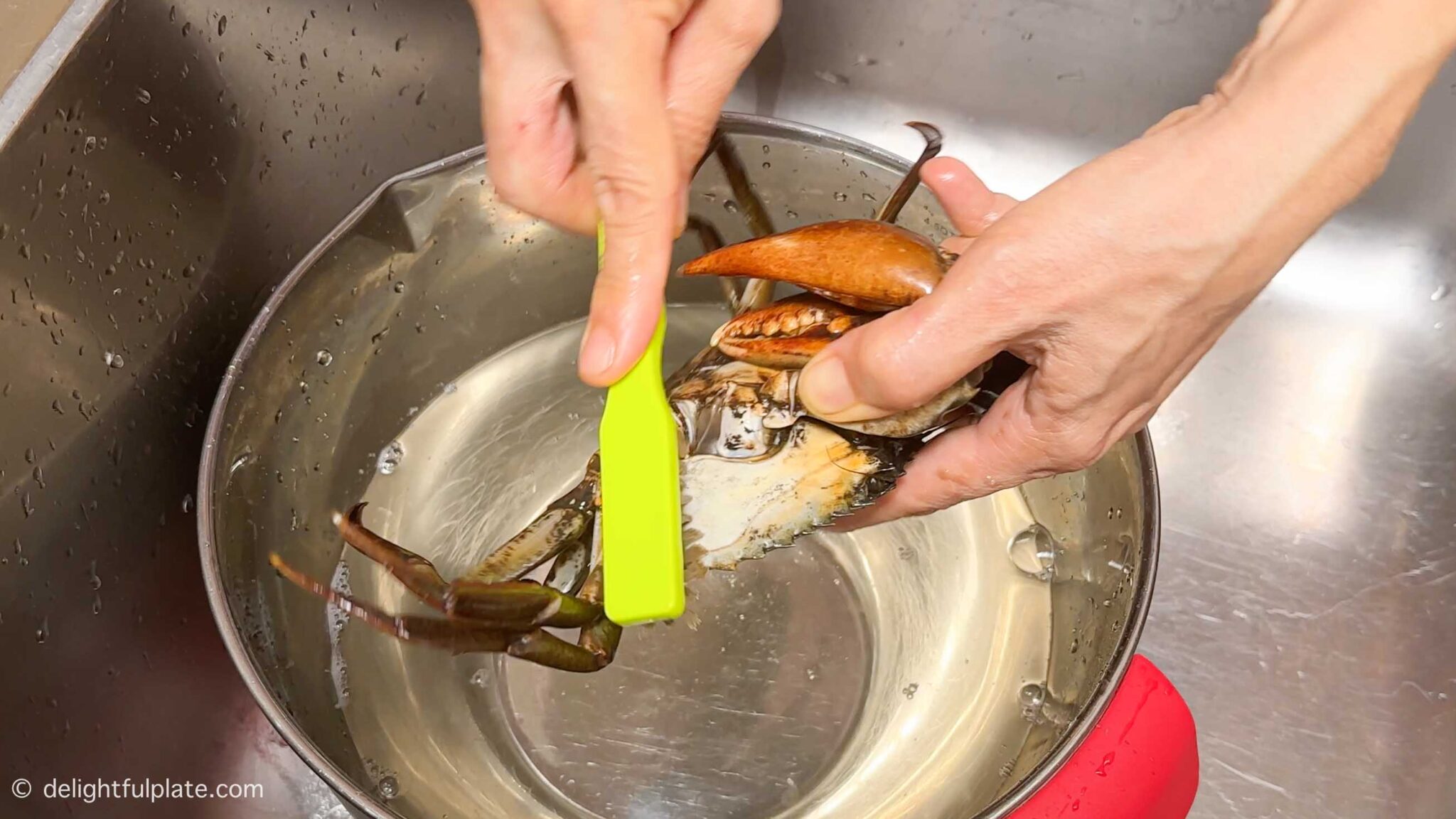 Stir-fried Crab with Ginger and Scallion - Delightful Plate