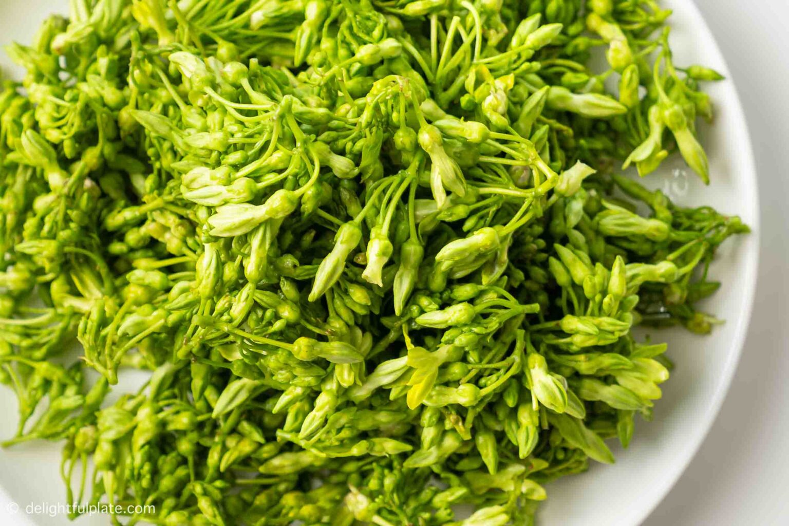 Vietnamese Stir-fried Beef with Tonkin Flowers - Delightful Plate
